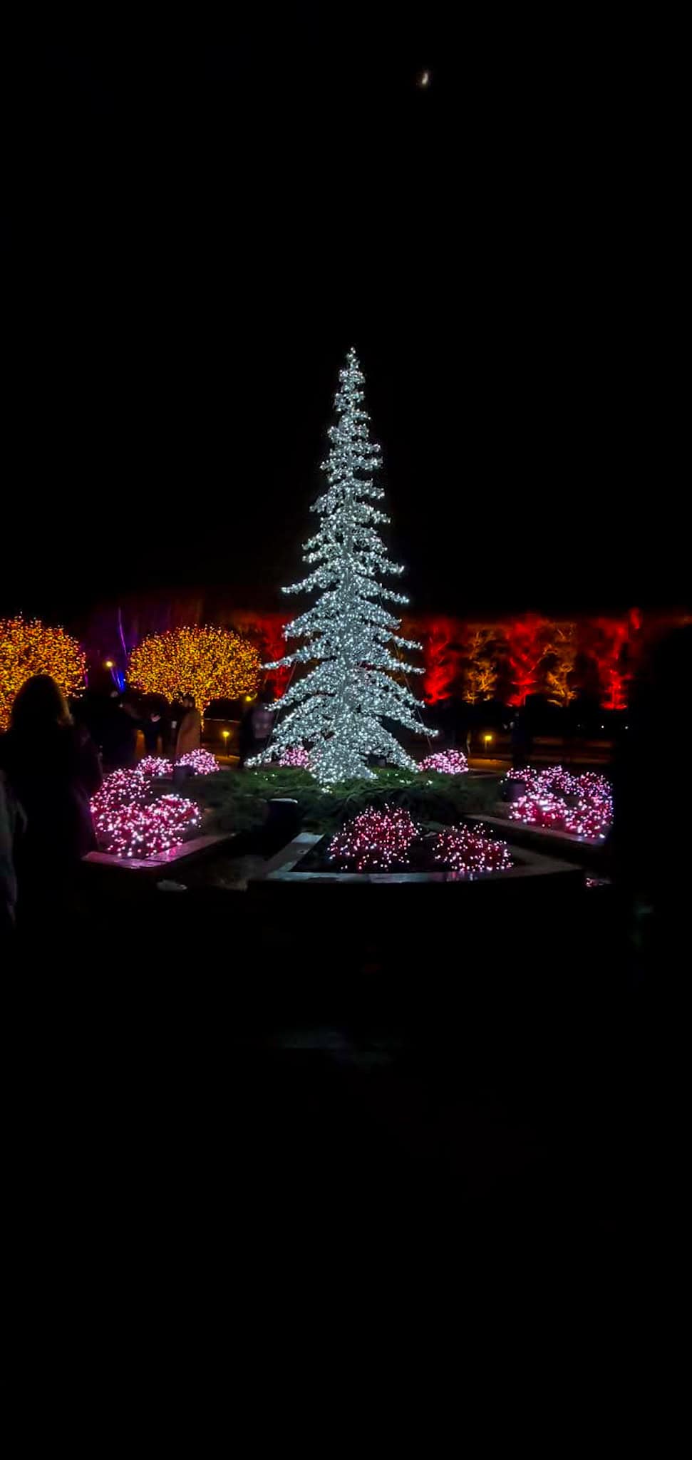 Ultimate Chicago 4 day itinerary for your first visit