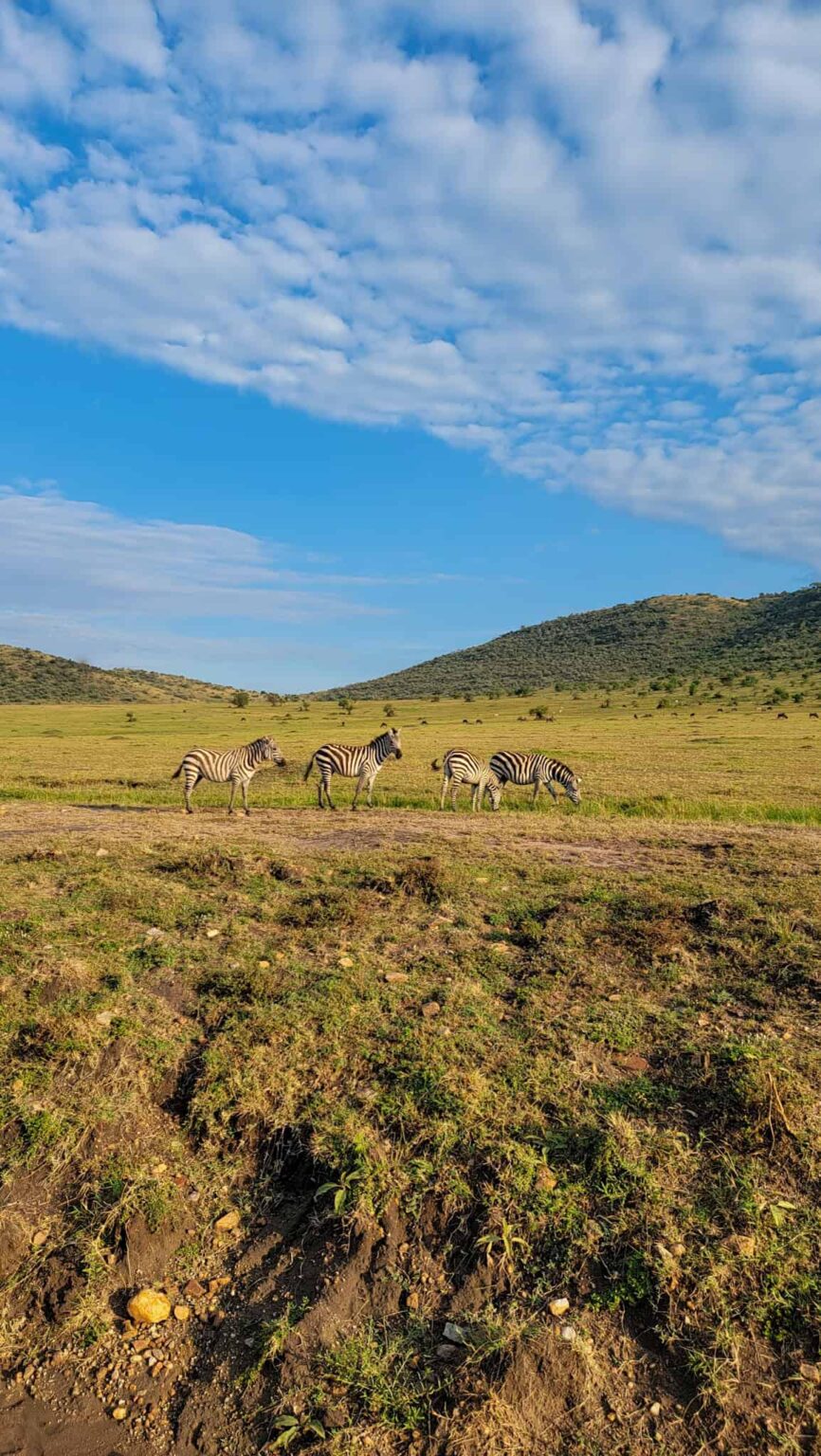 Kenya itinerary: the best things to do when you visit