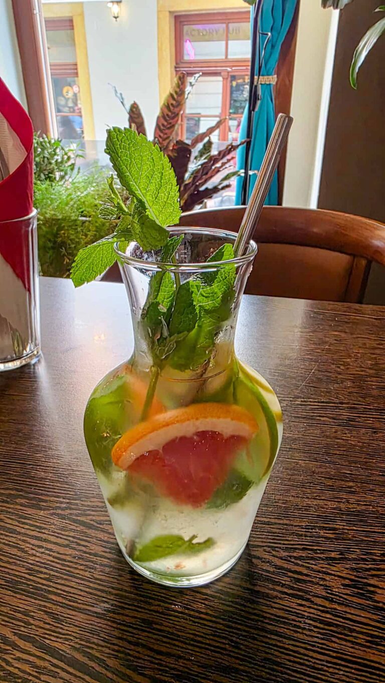 Where to eat in Bratislava: the best restaurants